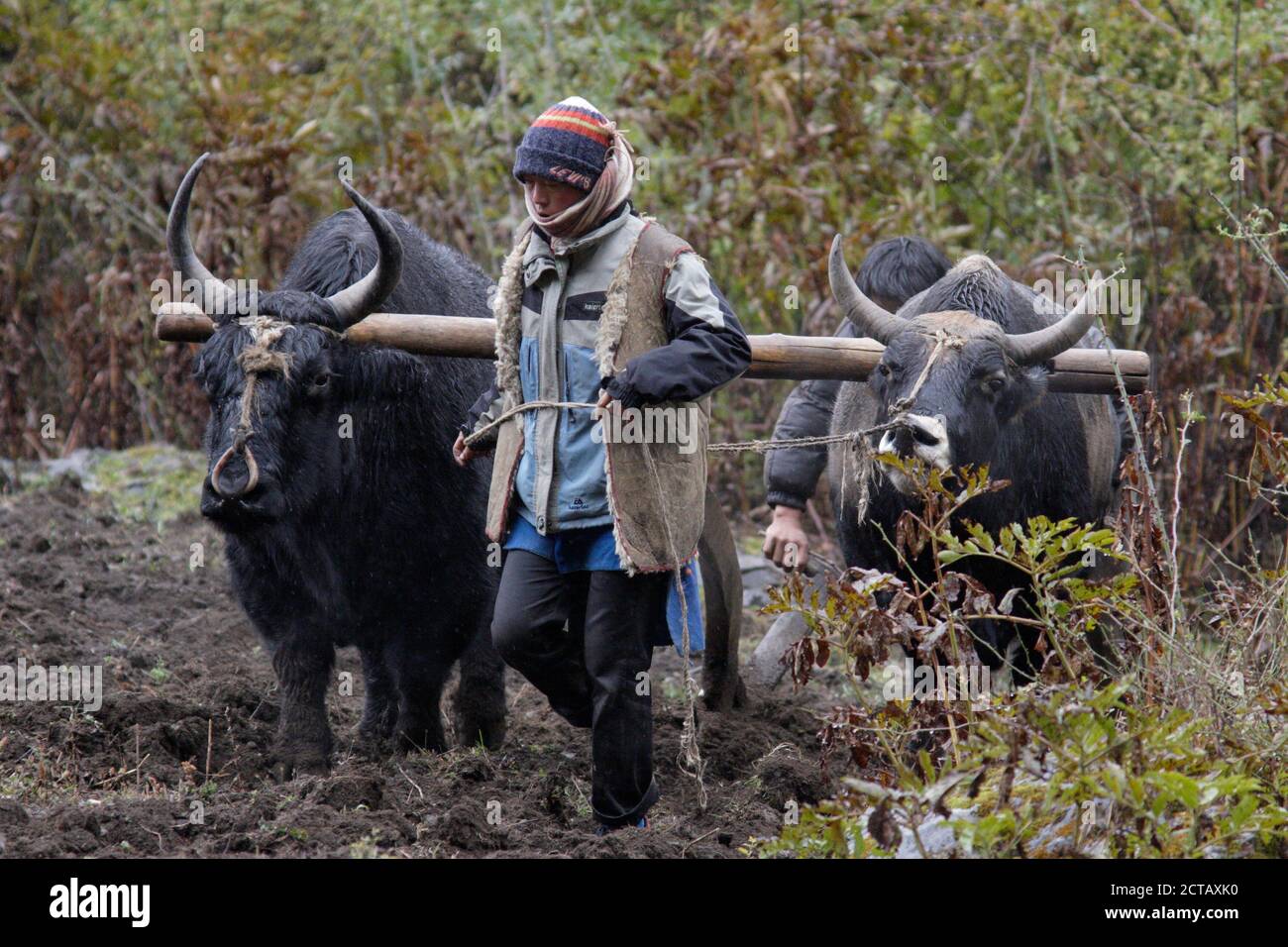 China agriculture plough hi-res stock photography and images - Alamy