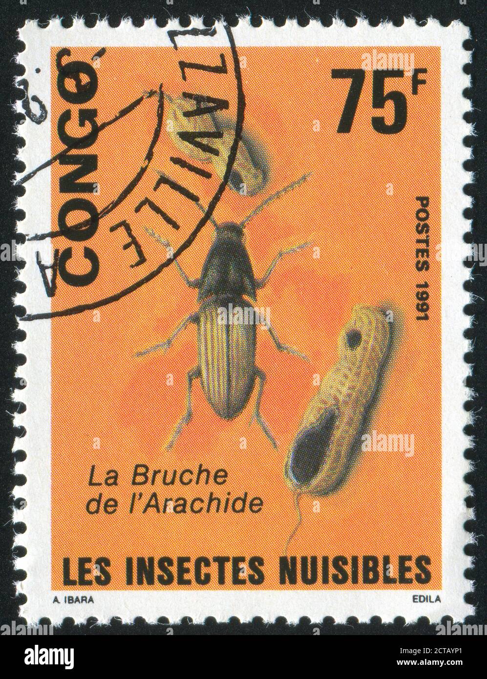 CONGO - CIRCA 1991: stamp printed by Congo, shows bug, circa 1991 Stock ...