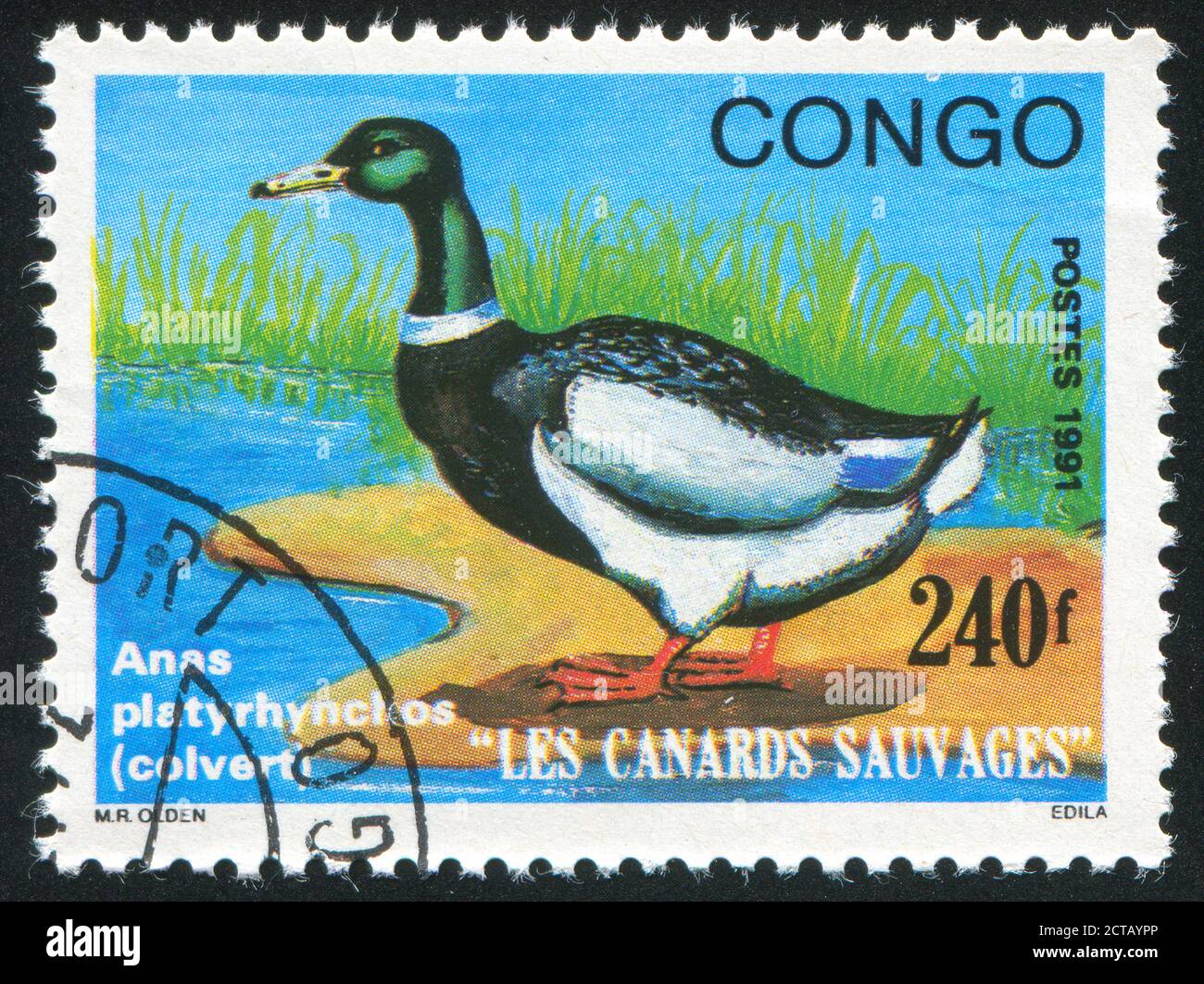 CONGO - CIRCA 1991: stamp printed by Congo, shows duck, circa 1991 ...