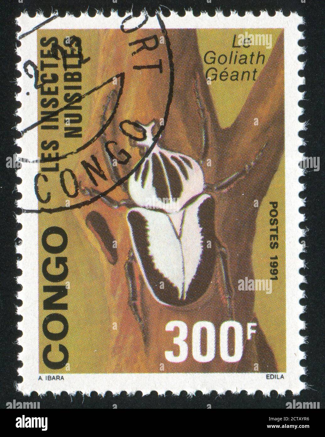 CONGO - CIRCA 1991: stamp printed by Congo, shows bug, circa 1991 Stock ...
