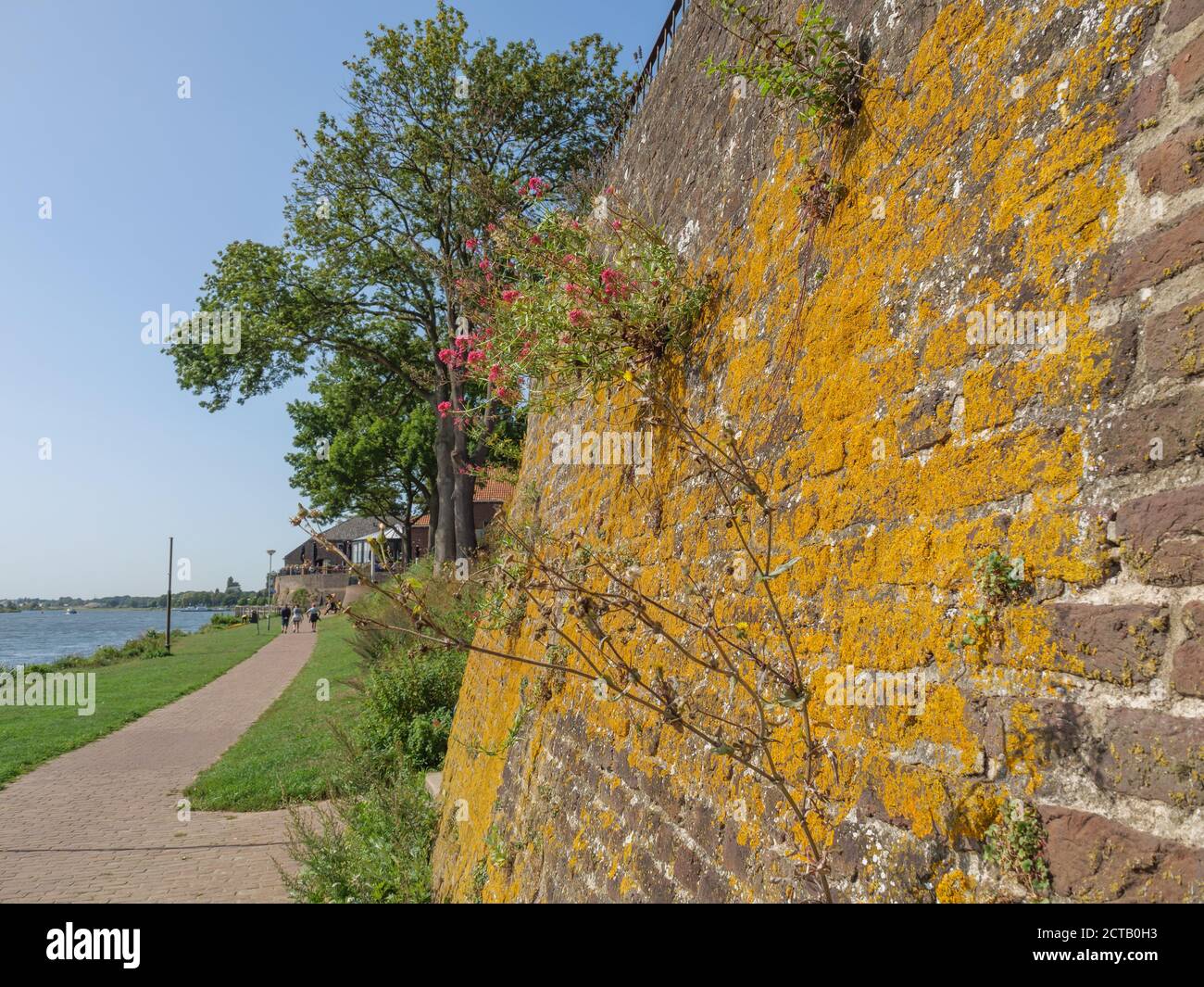 the dutch village kessel at the river maas Stock Photo - Alamy
