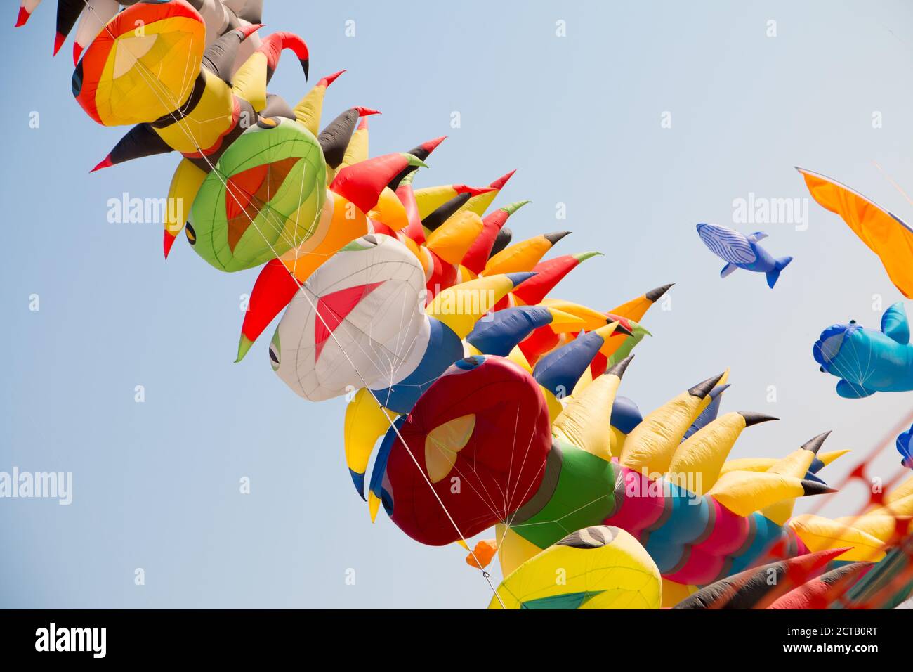 Kuwait desert children hi-res stock photography and images - Alamy