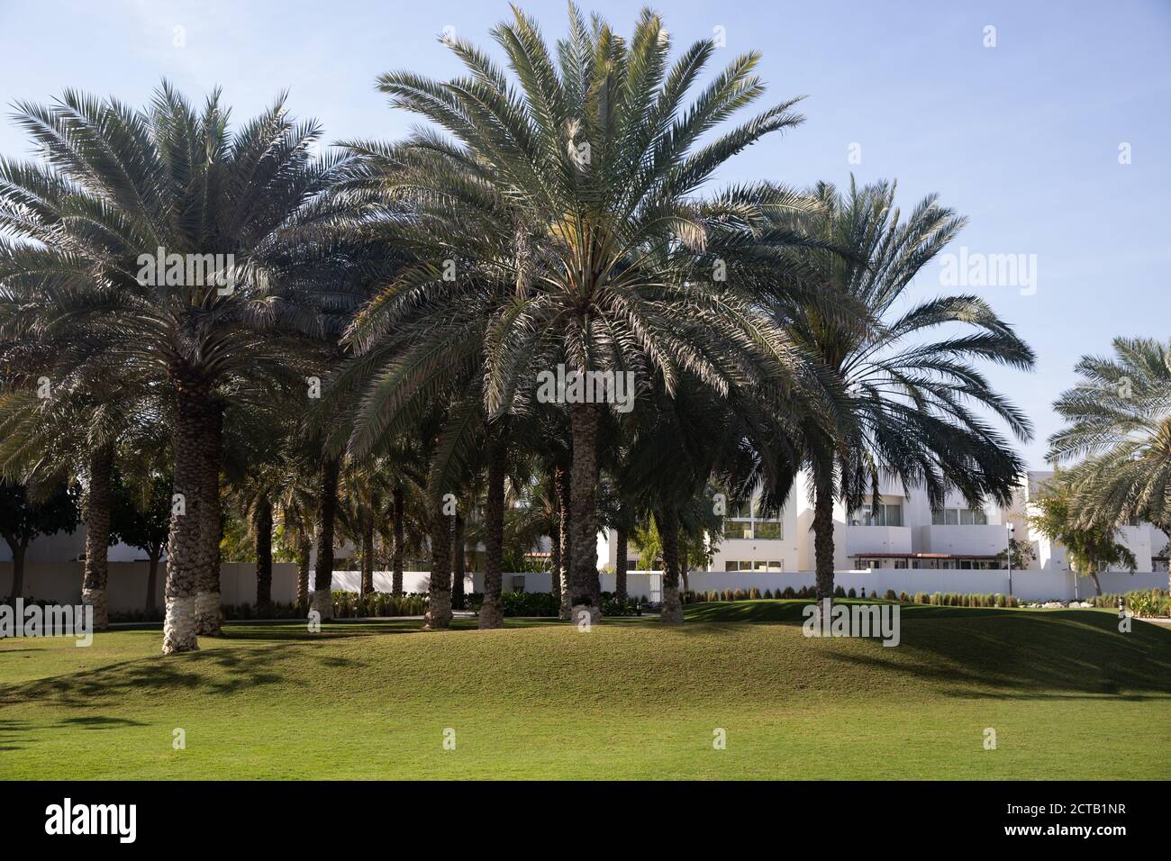 Park by the beach and villas. Al Mouj, The Wave, Muscat, Oman Stock ...