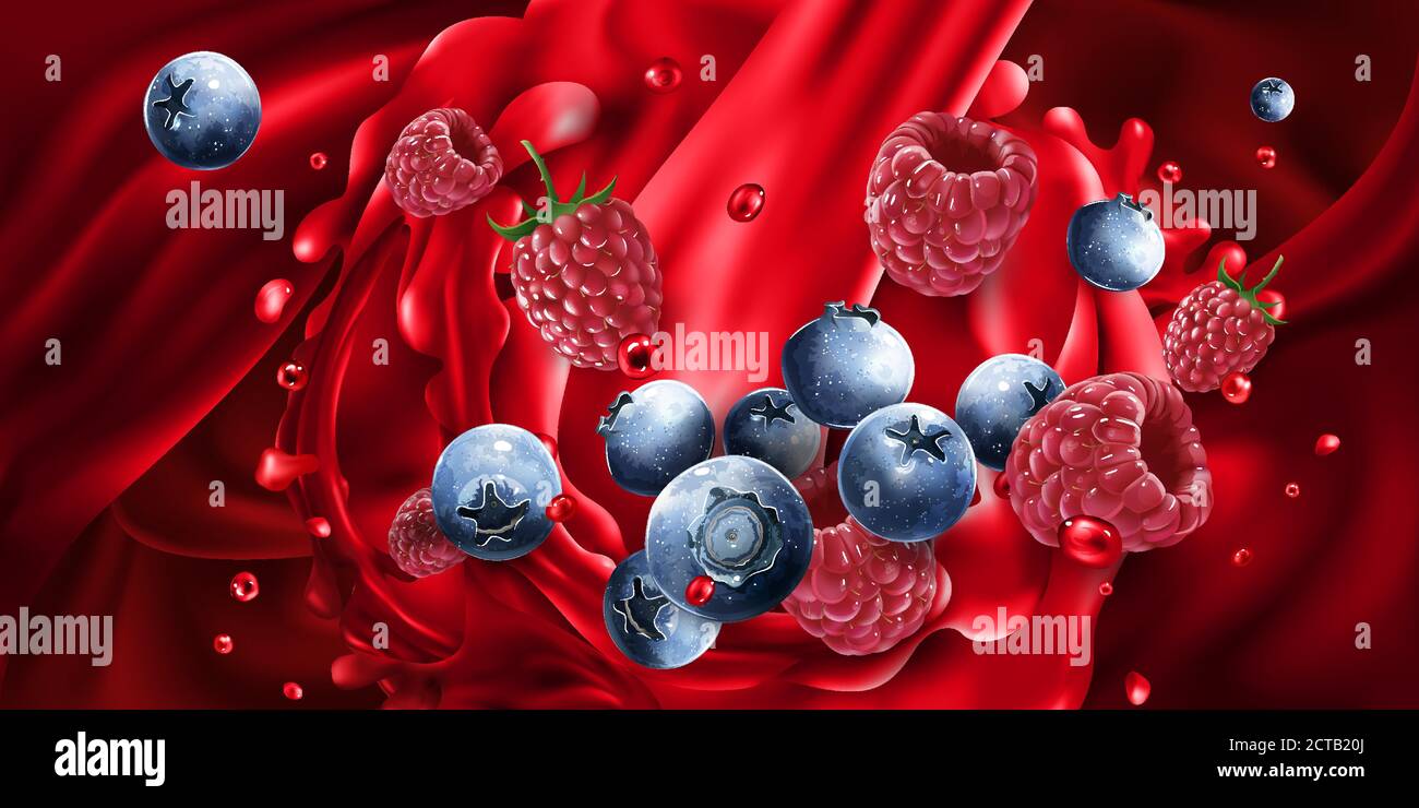 Blueberries and raspberries in red fruit juice Stock Vector Image & Art ...