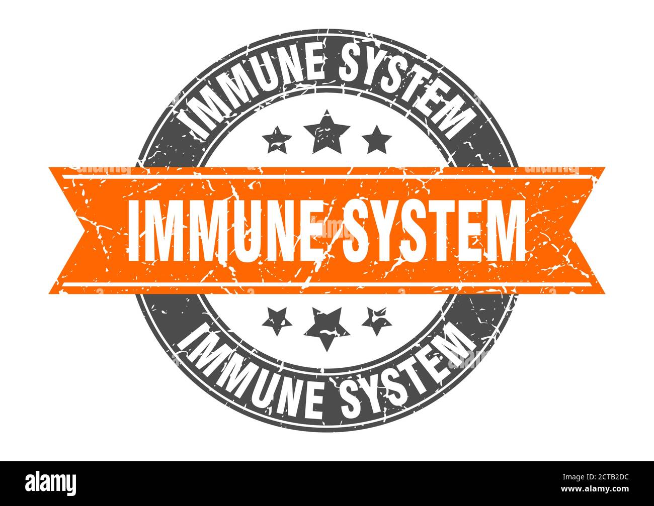 immune system round stamp with ribbon. sign. label Stock Vector Image ...