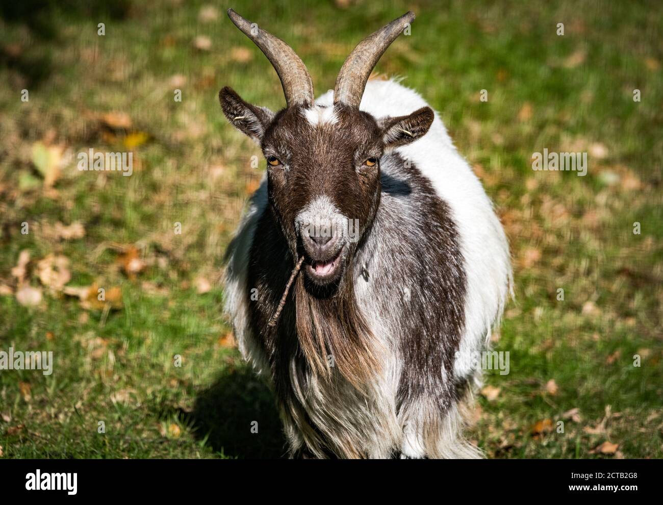 Things to do in scotland hi-res stock photography and images - Alamy
