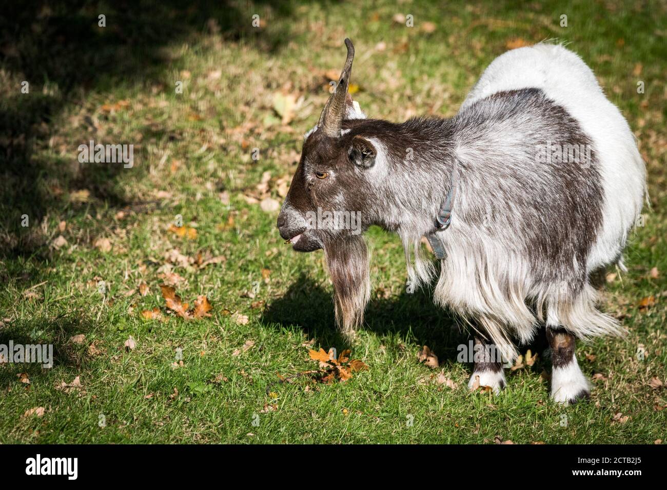 Things to do in scotland hi-res stock photography and images - Alamy