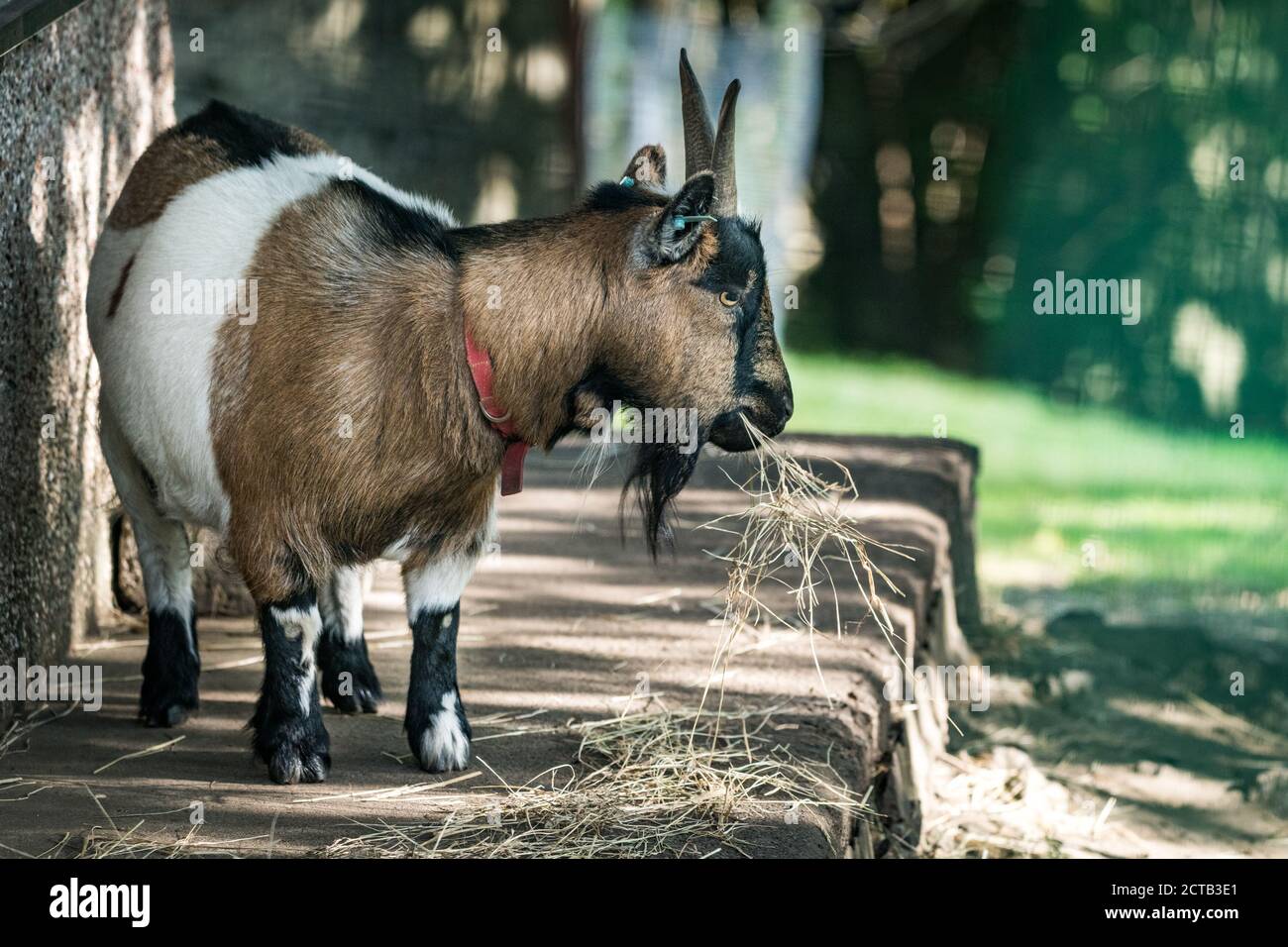 Things to do in scotland hi-res stock photography and images - Alamy