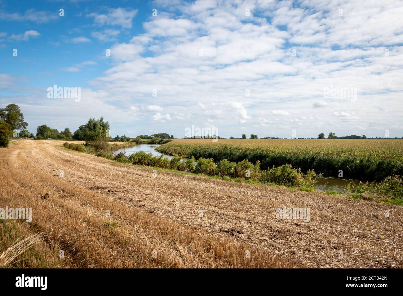 Landscape photo of the beautiful flat Groningen farmers land in summer ...