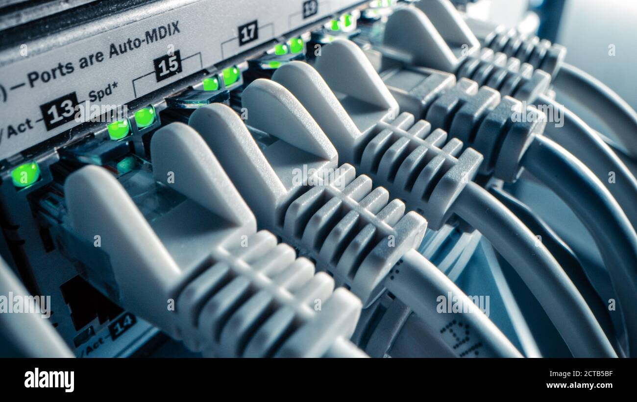 Macro Shot: Ethernet Data Cables Connected to Router Ports with ...
