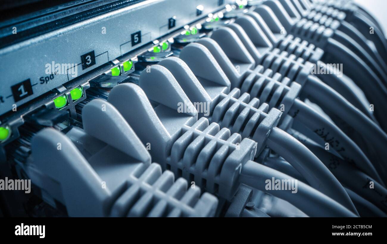Macro Shot: Ethernet Data Center Cables Connected to Router Ports with ...
