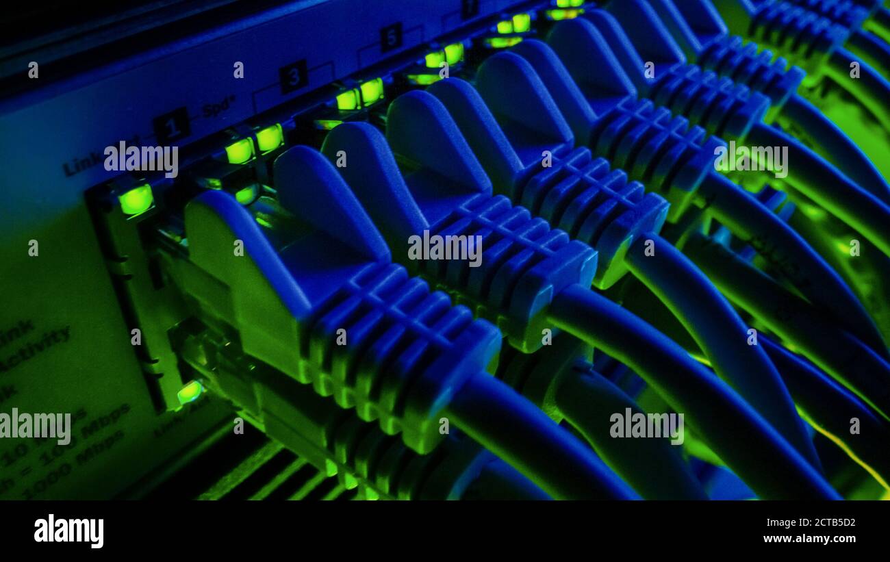 Macro Shot: Ethernet Data Cables Connected to Router Ports with ...