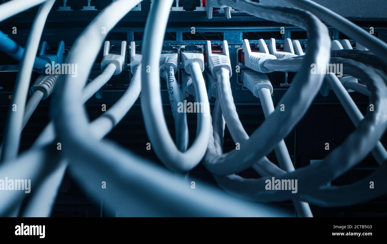 Close-up Macro Shot: Ethernet Cables Connected to Router Ports ...