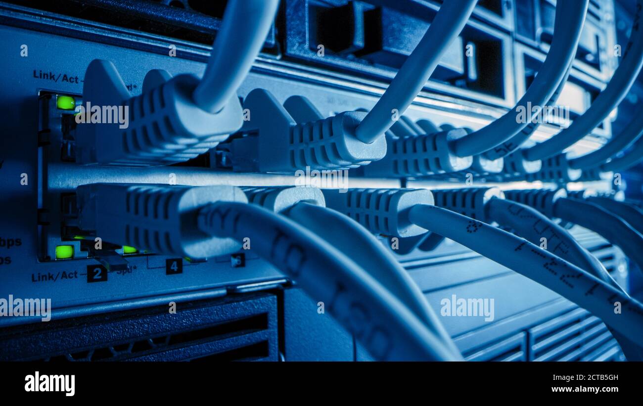Macro Shot: Ethernet Cables Connected to Router Ports with Blinking ...
