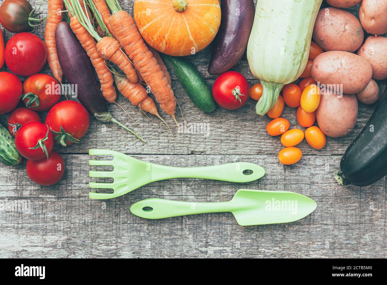 Assortment different fresh organic vegetables and gardening tools on ...