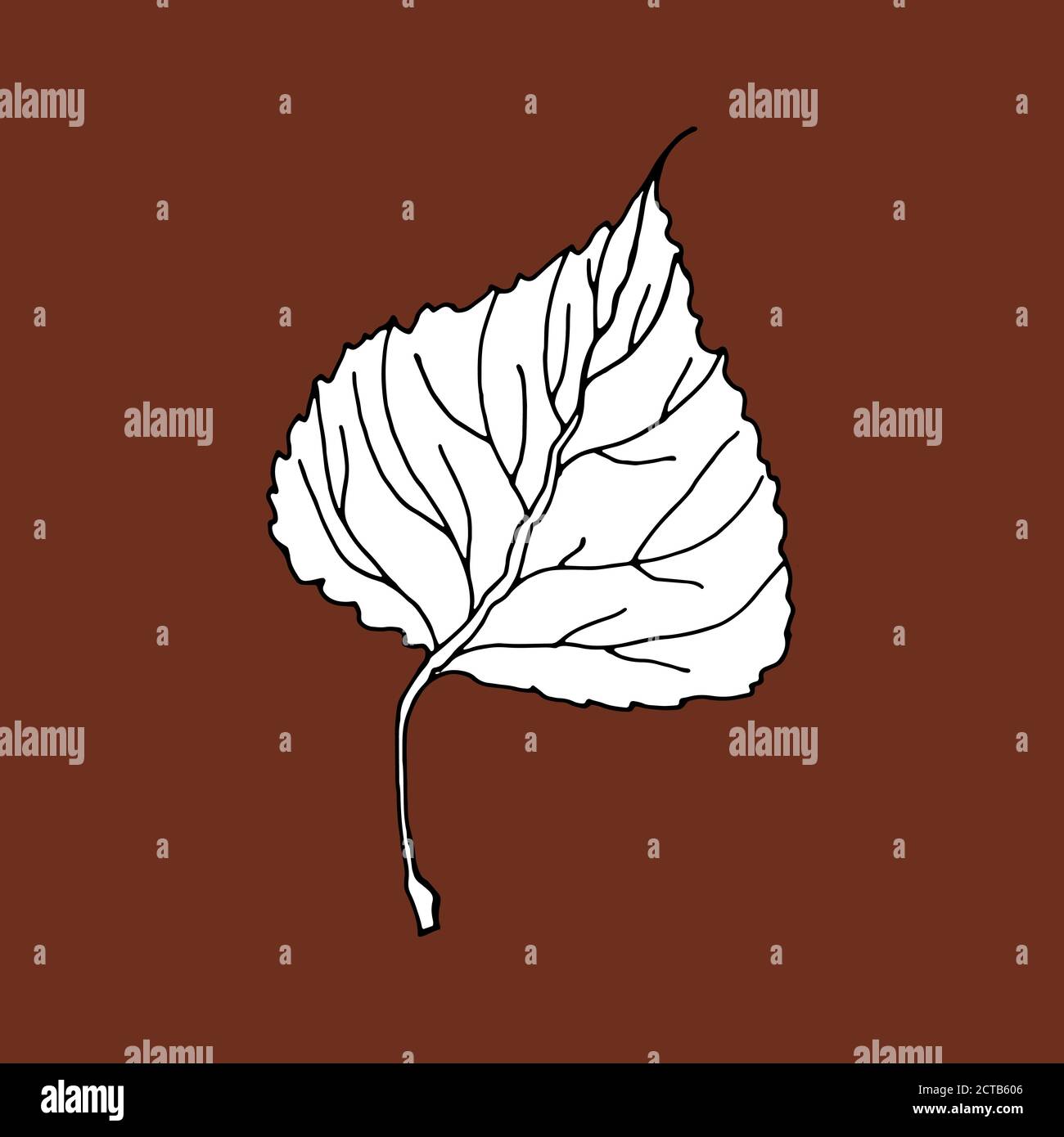 Aspen leaf editable icon, sketch hand drawn style illustration. Ready ...