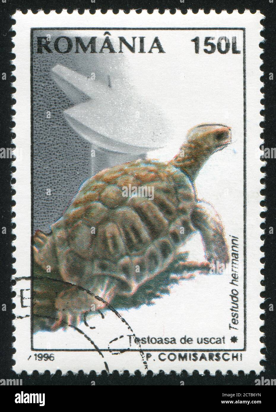 ROMANIA - CIRCA 1996: stamp printed by Romania, show tortoise, circa ...