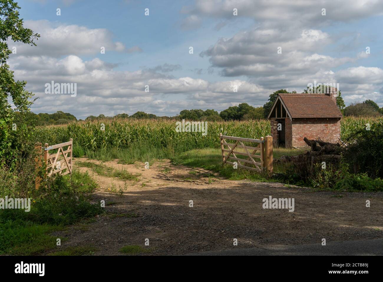 Entrance gates to a farmers field growing maize in the Kent countryside ...