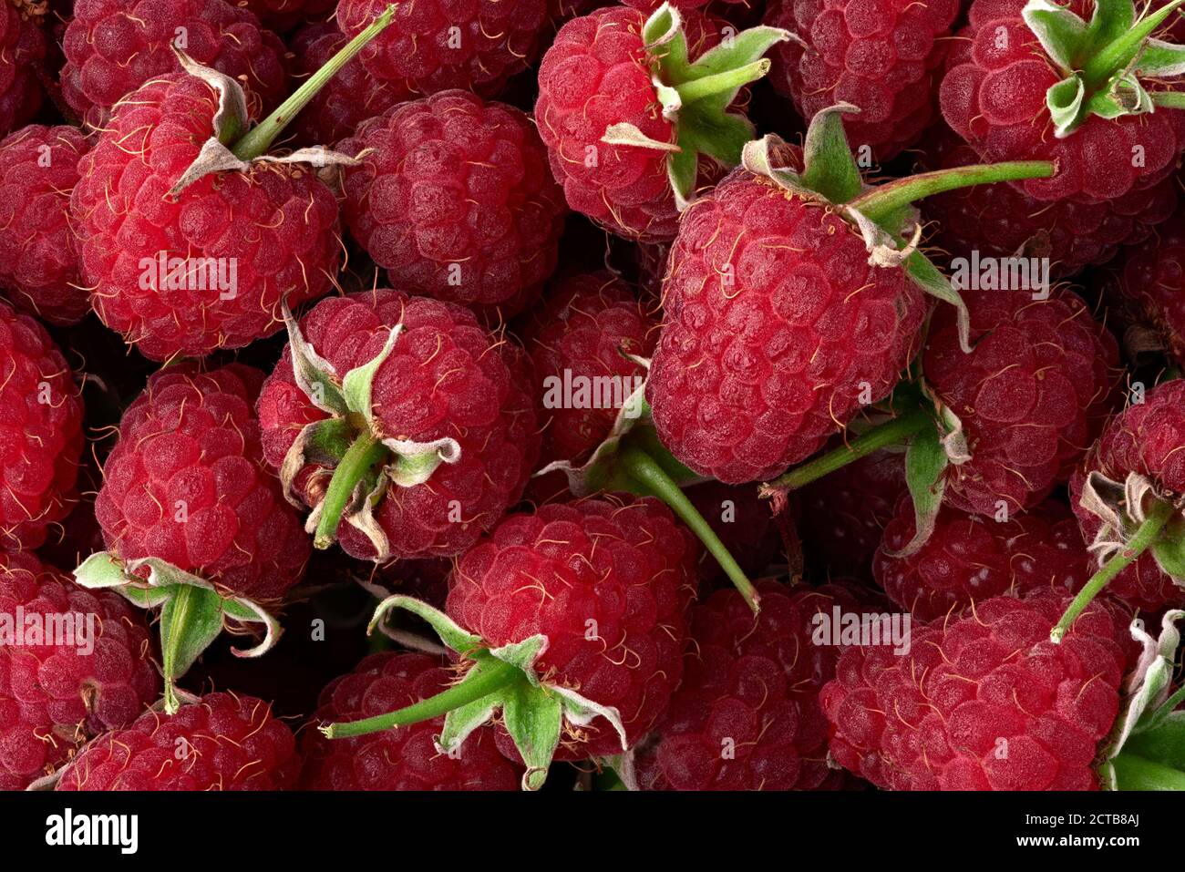 Ripe raspberry fruits with green stems. Pattern. Flat lay. Top view ...