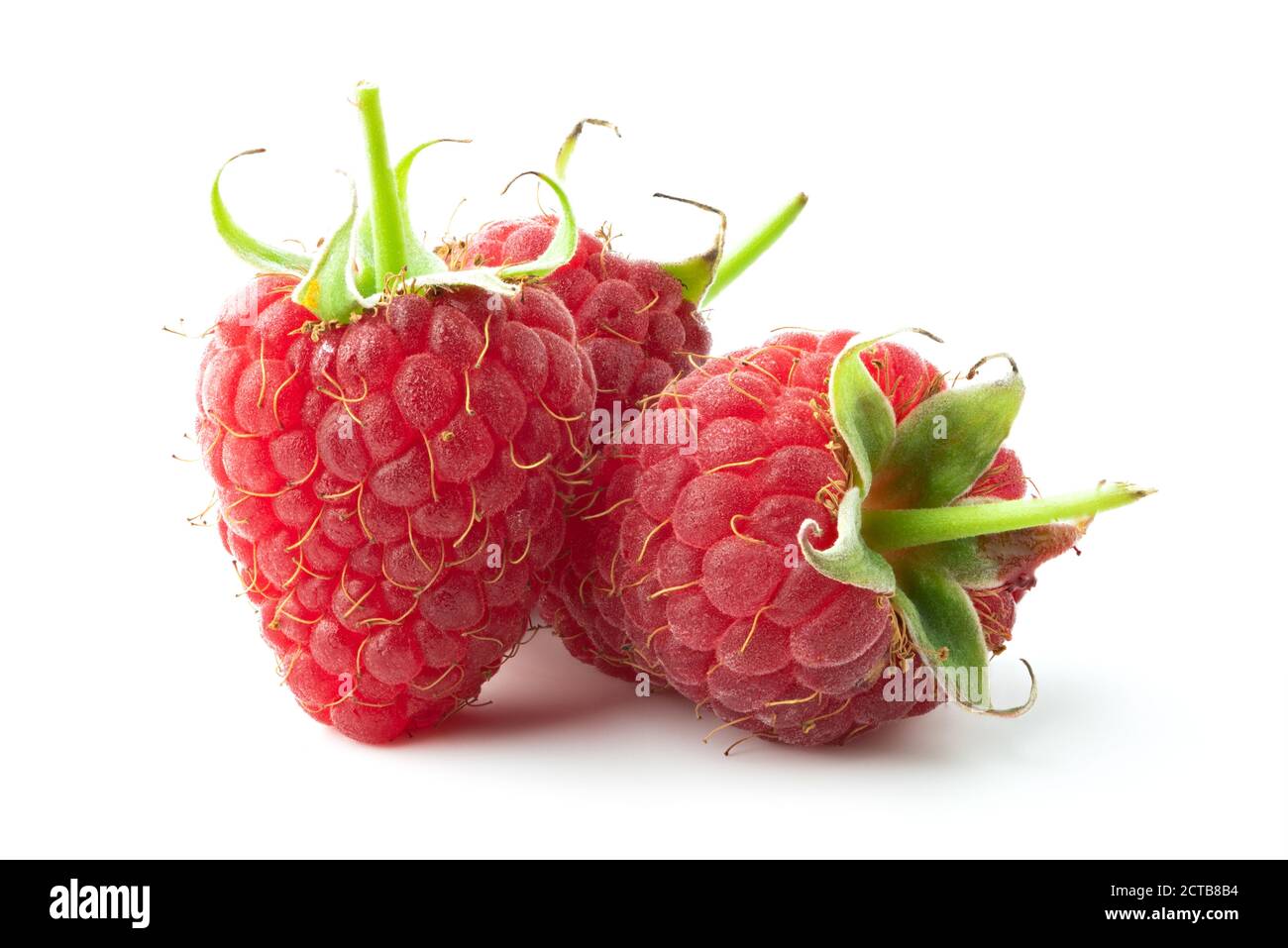 Three ripe raspberry fruits with green stems isolated on white ...