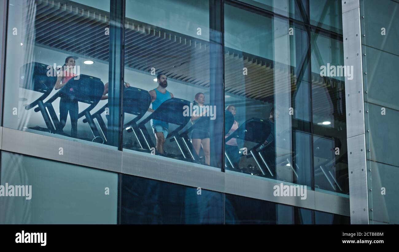 Athletic People Running on Treadmills, Doing Fitness Exercise. Fit and ...