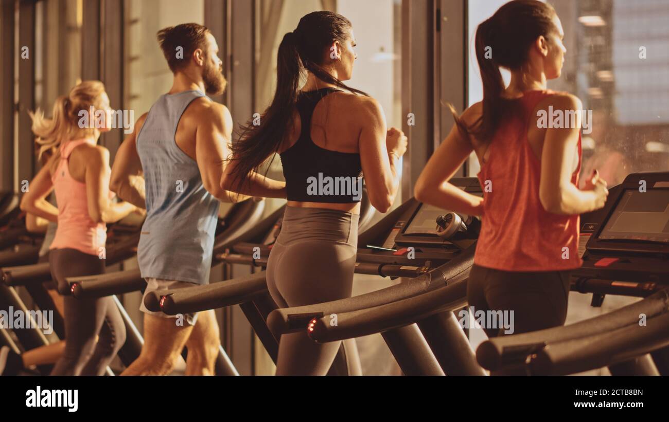 Athletic People Running on Treadmills, Doing Fitness Exercise. Athletic ...