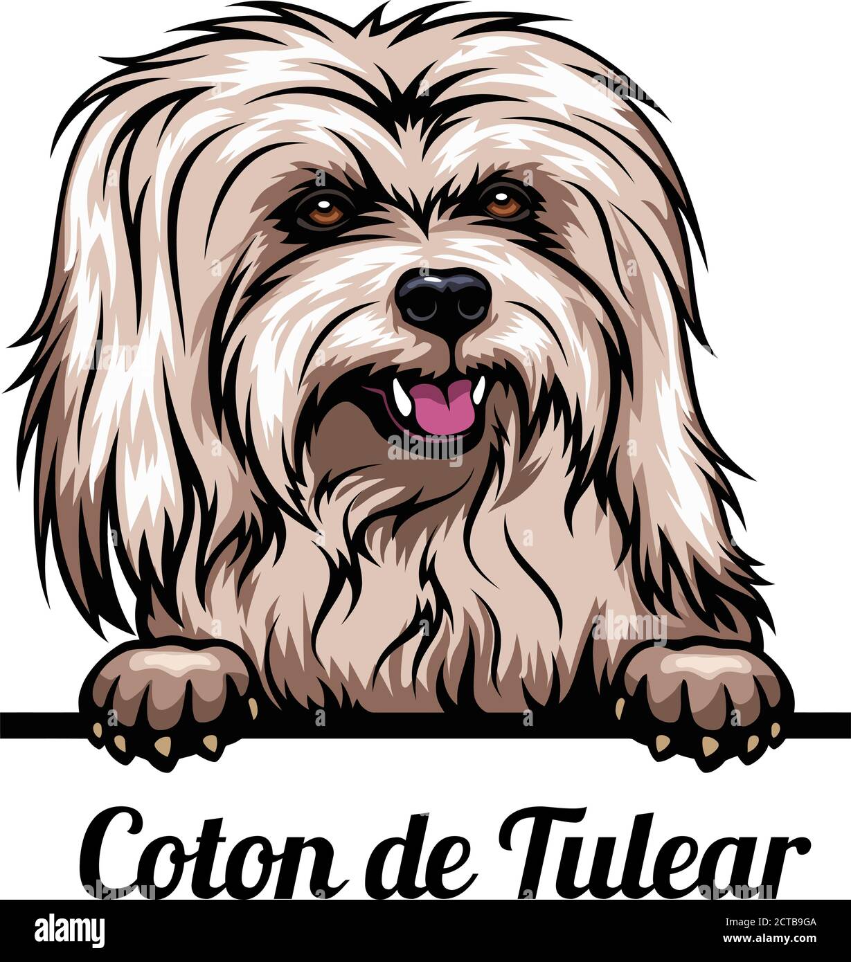 Animal de color Stock Vector Images - Alamy