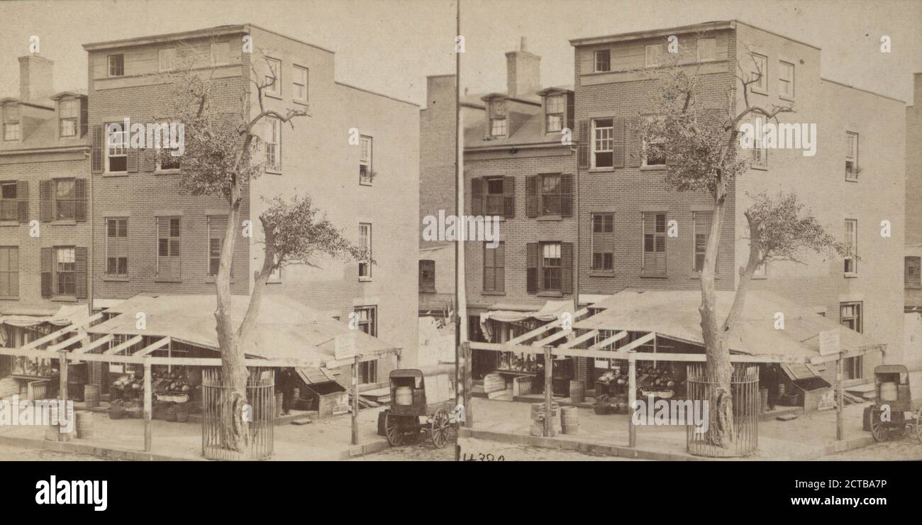 Corner tree hi-res stock photography and images - Alamy