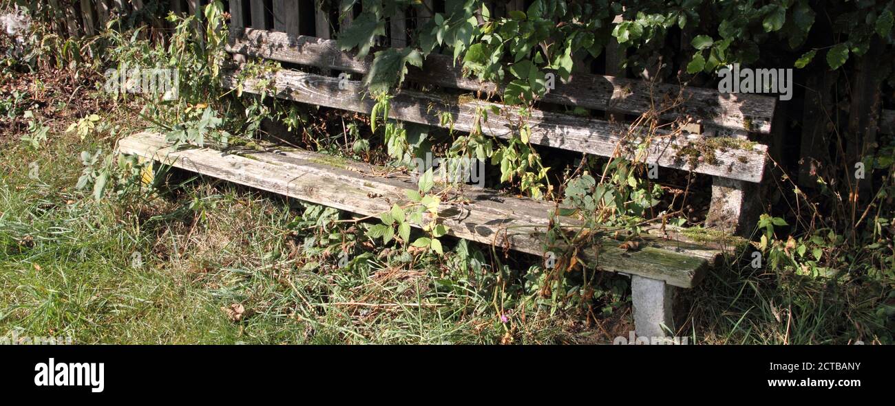 a nice old garden bench Stock Photo - Alamy
