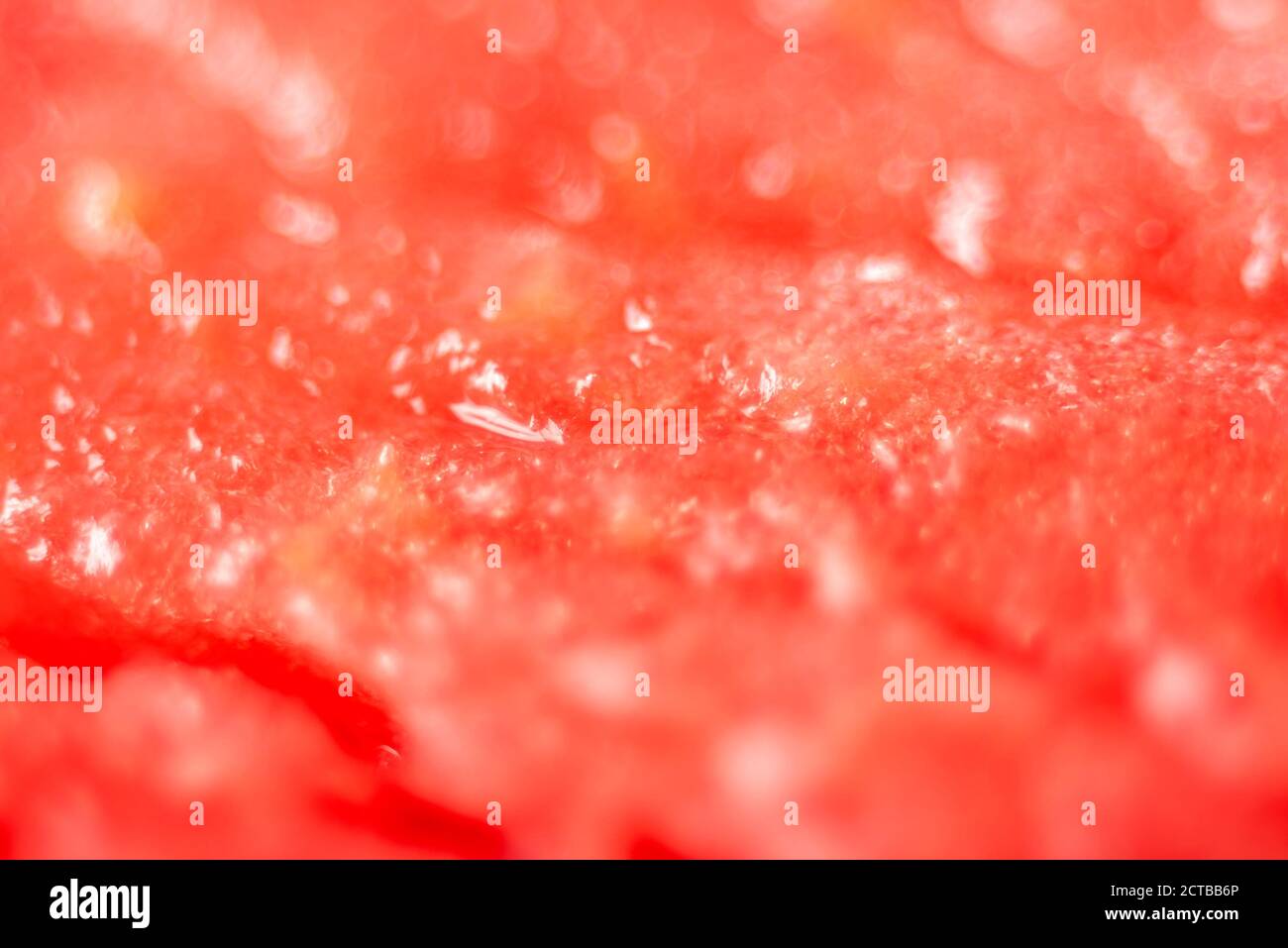 The texture of the flesh of watermelon in macro photography. The ...
