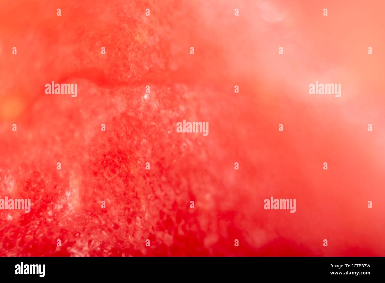 The texture of the flesh of watermelon in macro photography. The ...