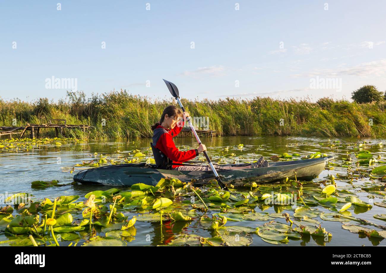 Rear view of kayaker paddle kayak in summer river Stock Photo - Alamy