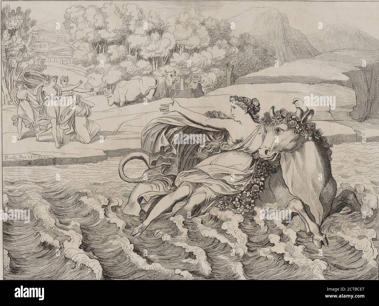 Il ratto deuropa hi-res stock photography and images - Alamy