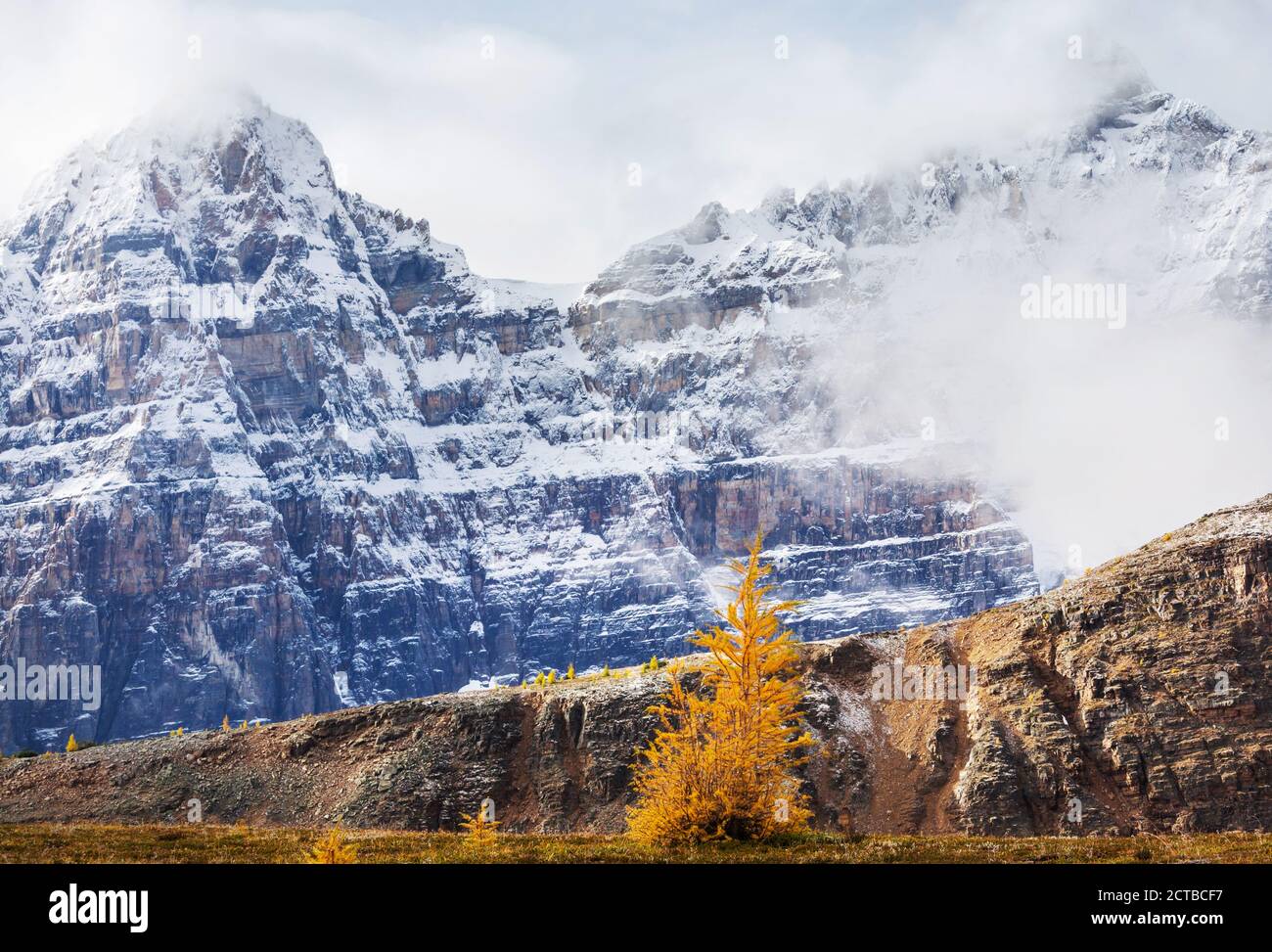 Larches in the fall hi-res stock photography and images - Alamy