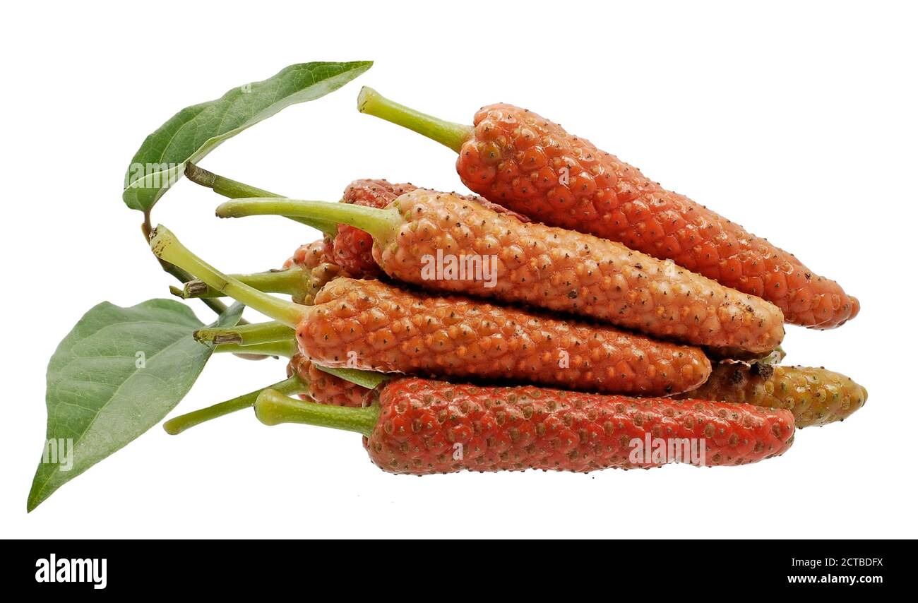 Long pepper isolated on white background Stock Photo - Alamy