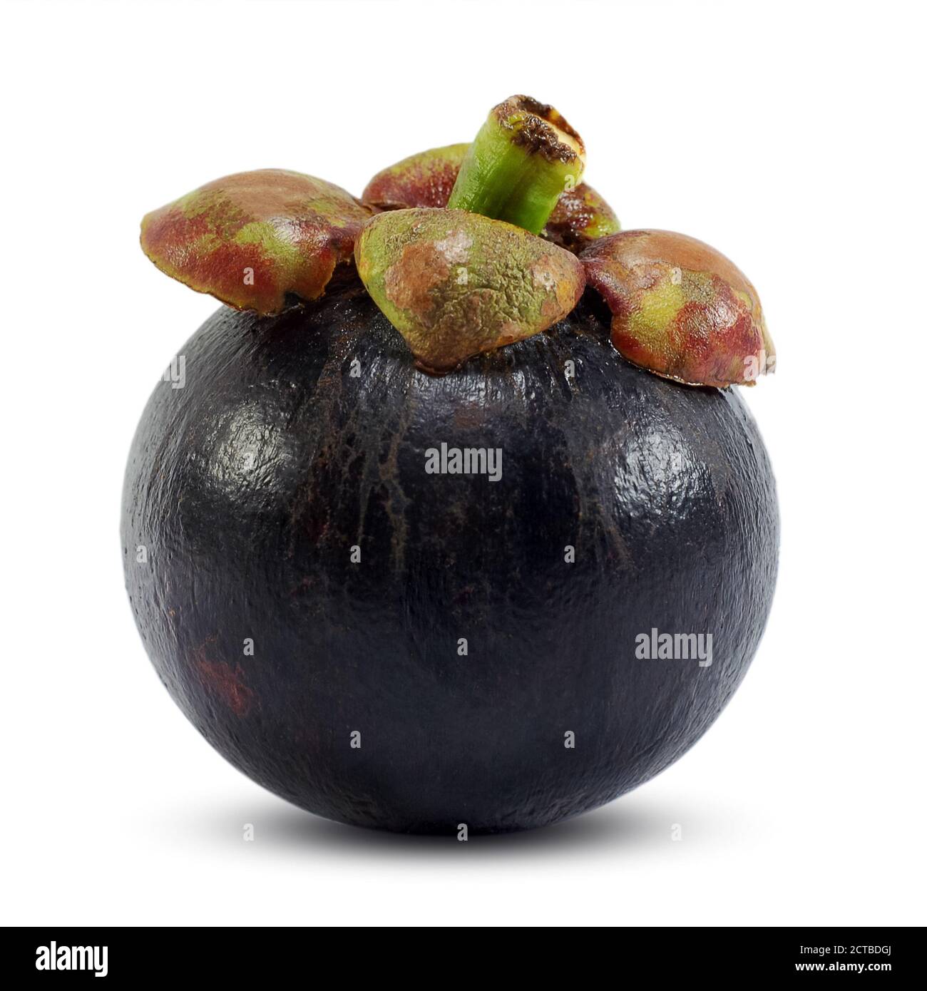 Single Mangosteen fruit isolated on white backgroud Stock Photo - Alamy