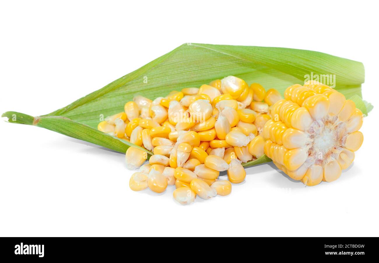 Sweet Corn isolated on white background Stock Photo - Alamy