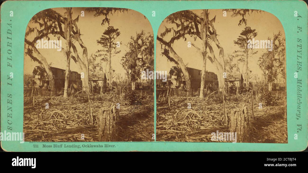 Moss bluff landing hi-res stock photography and images - Alamy