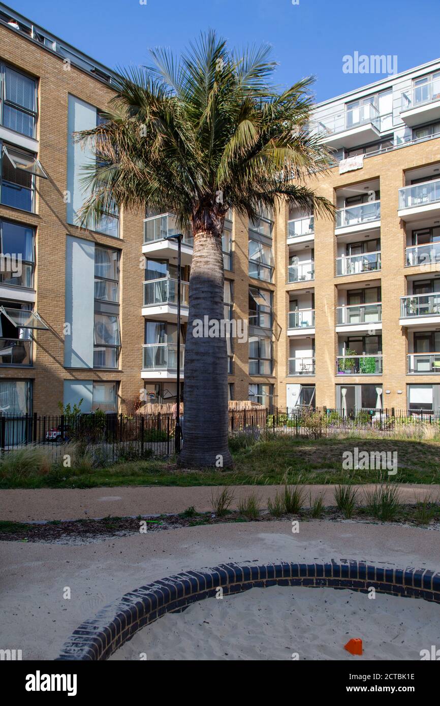 Hundred year old tree hi-res stock photography and images - Alamy