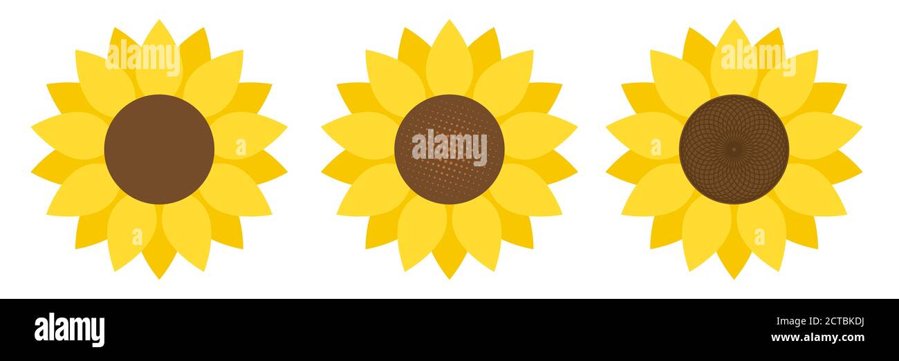 Sunflower in flat style vector isolated Stock Vector Image & Art - Alamy