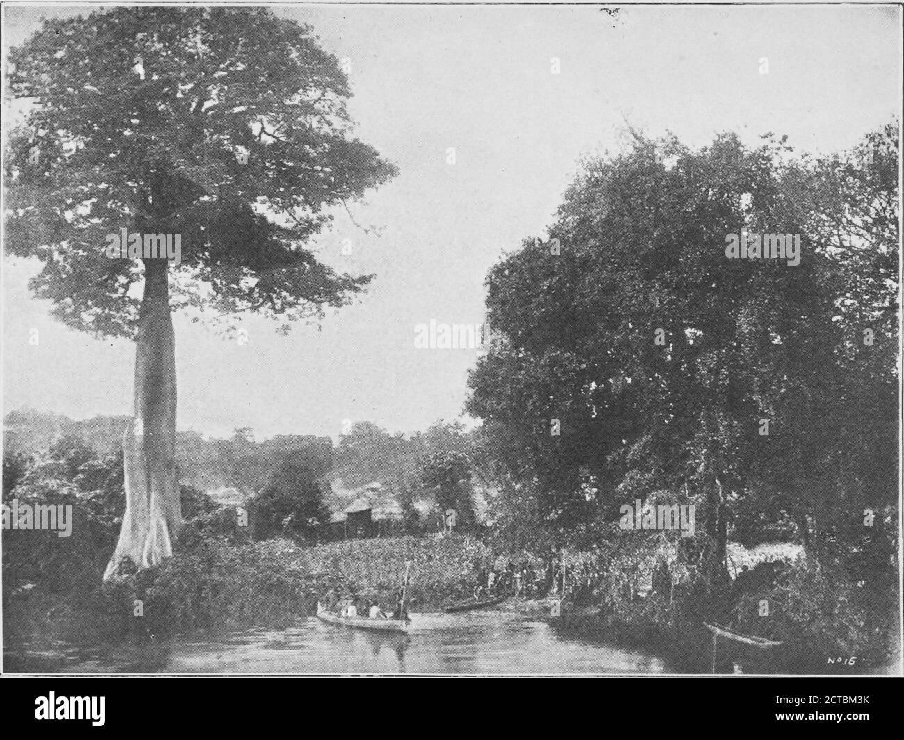 Augustus ferryman mockler hi-res stock photography and images - Alamy