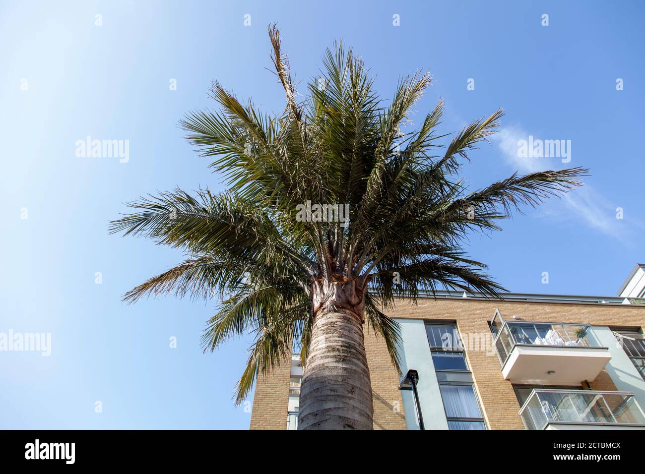 Packington square hi-res stock photography and images - Alamy