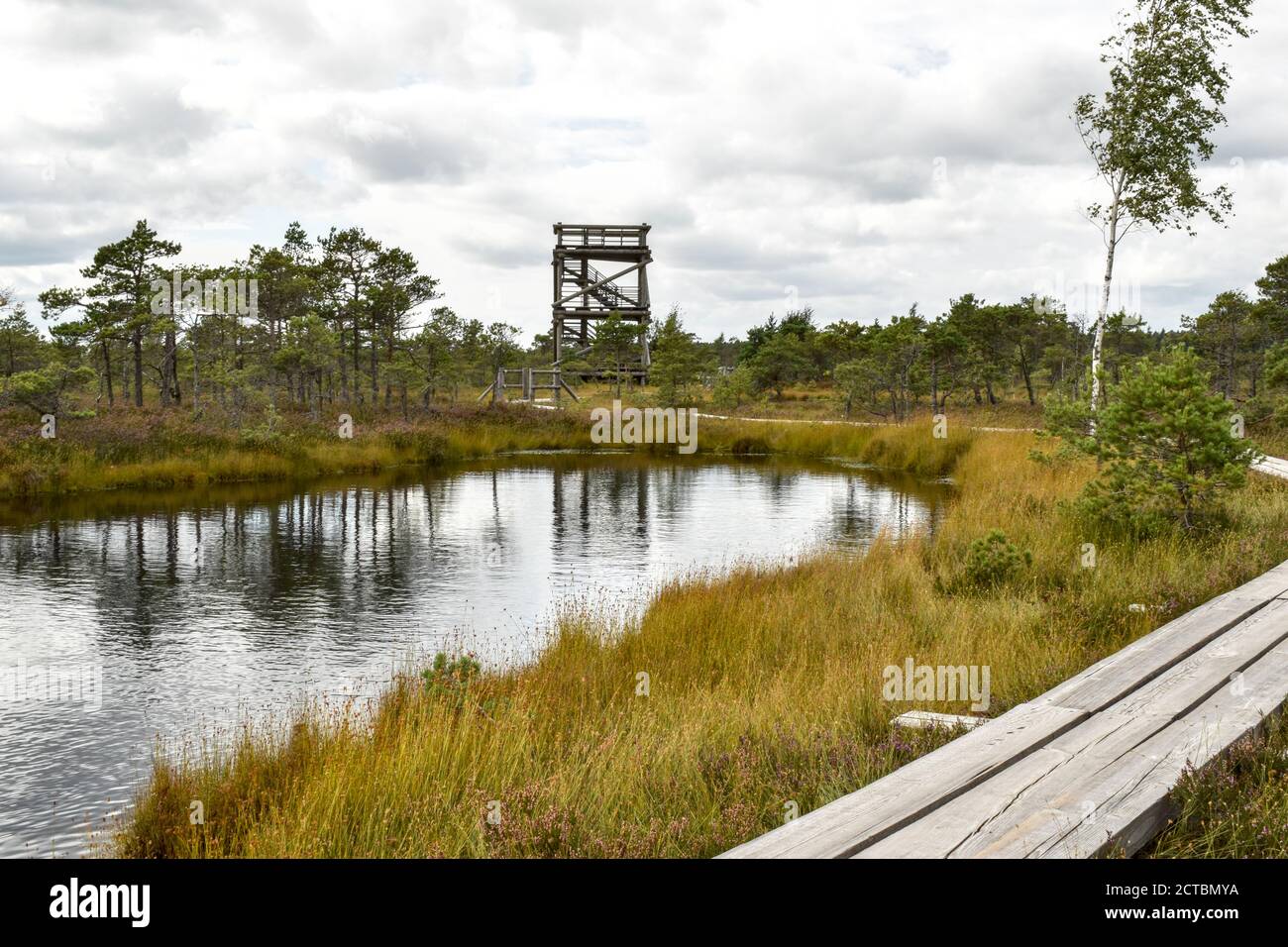 Kemeri National Park, Kemeri Bog, Latvia, September 2020 Stock Photo ...