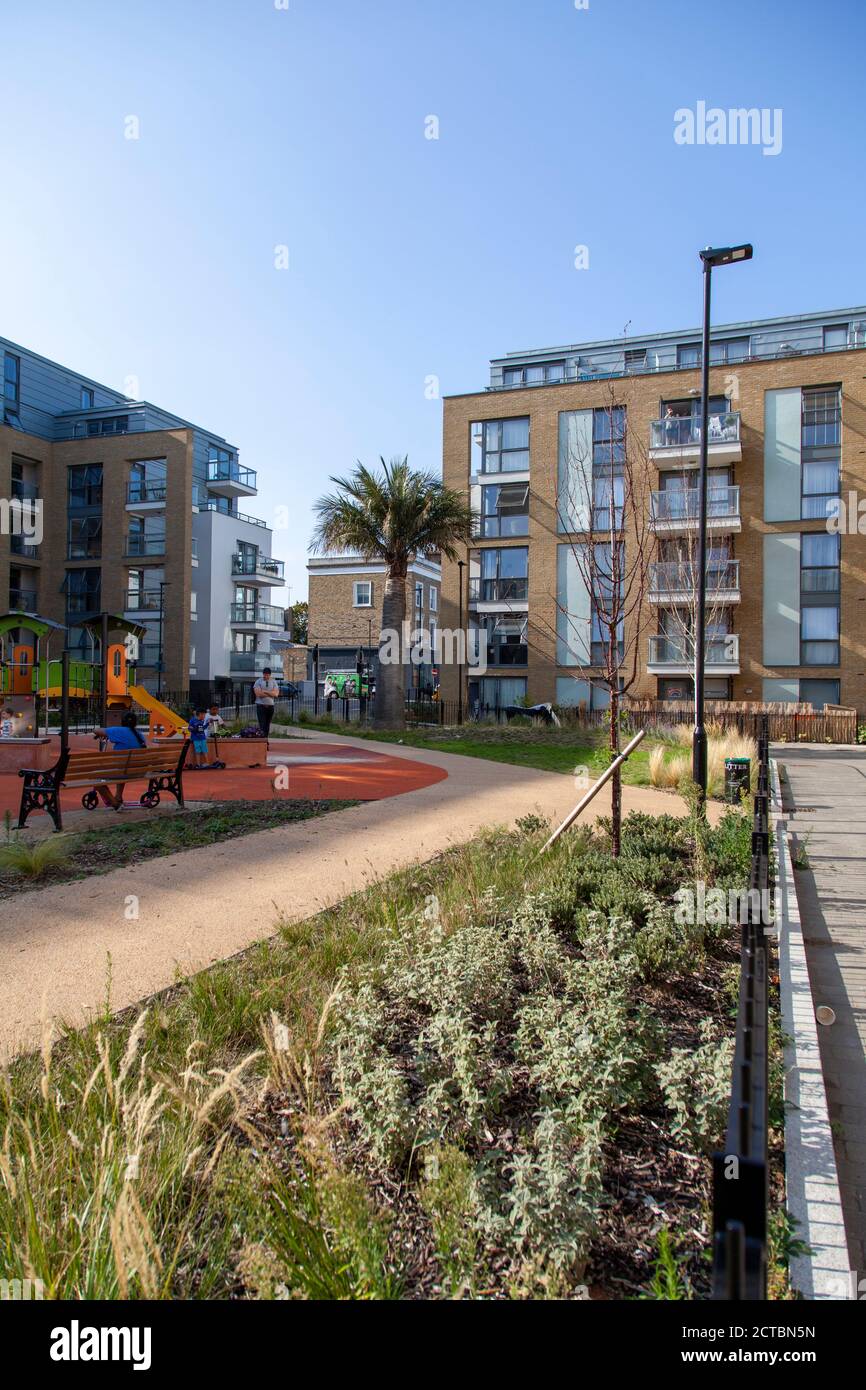 Hundred year old tree hi-res stock photography and images - Alamy