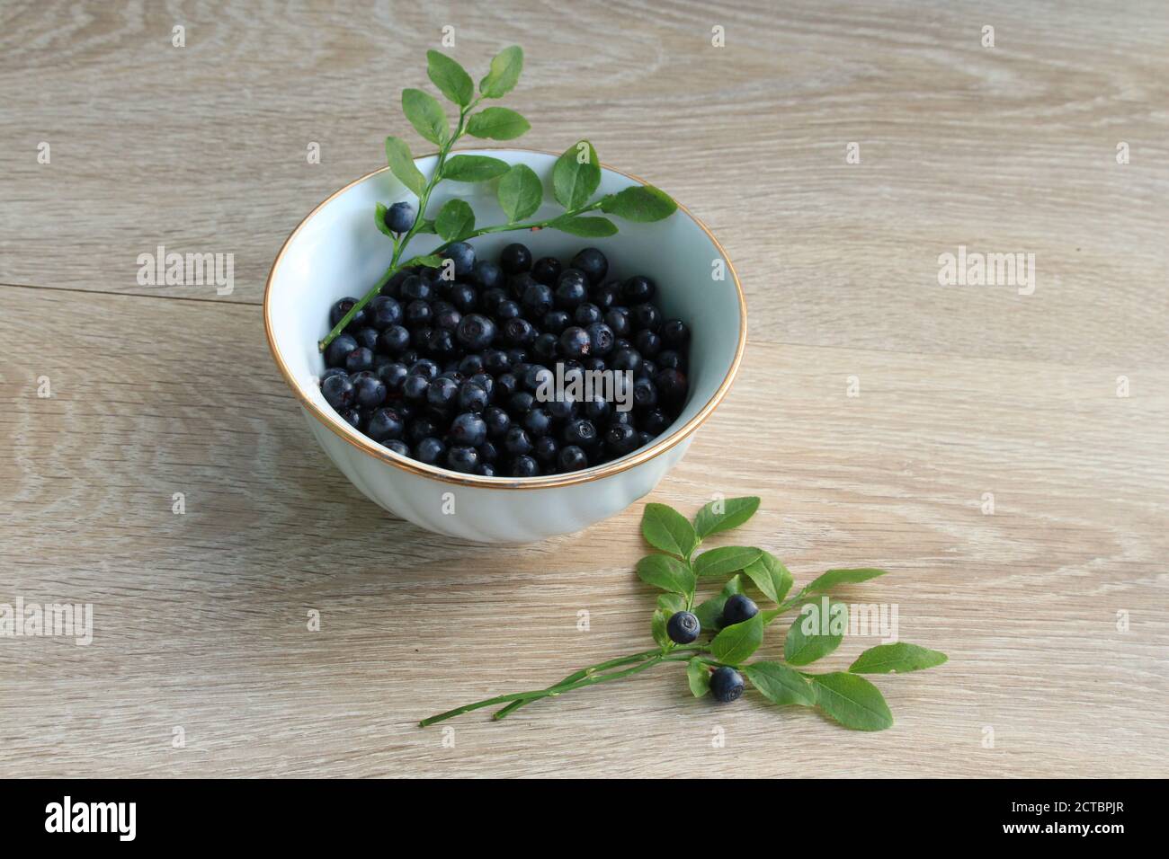 Blueberry in ceramic bowl isolated on white. Fresh blueberry closeup ...