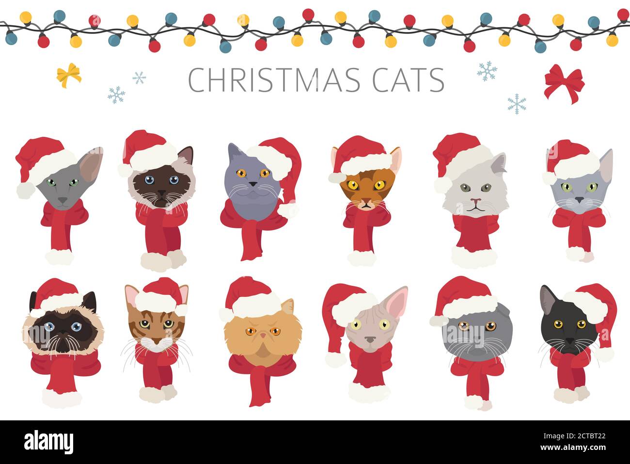 Cat portraits in Santa hats and scarves. Christmas holiday design ...