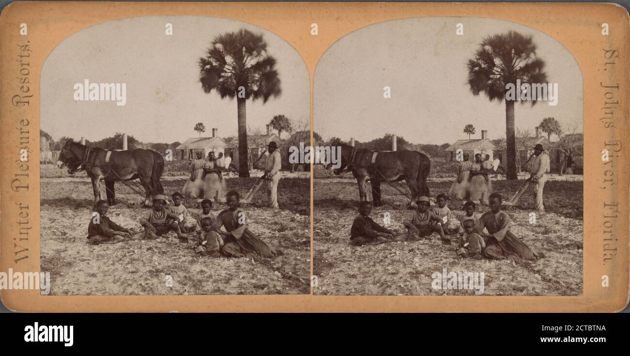 Farming, Fort George Island., still image, Stereographs, 1850 - 1930 Stock Photo - Alamy