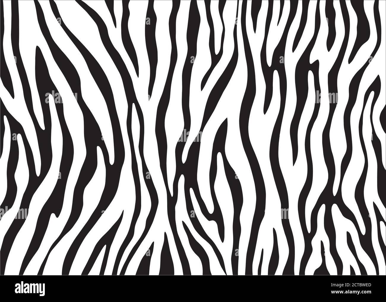 Abstract Zebra pattern design, animal skin vector illustration ...