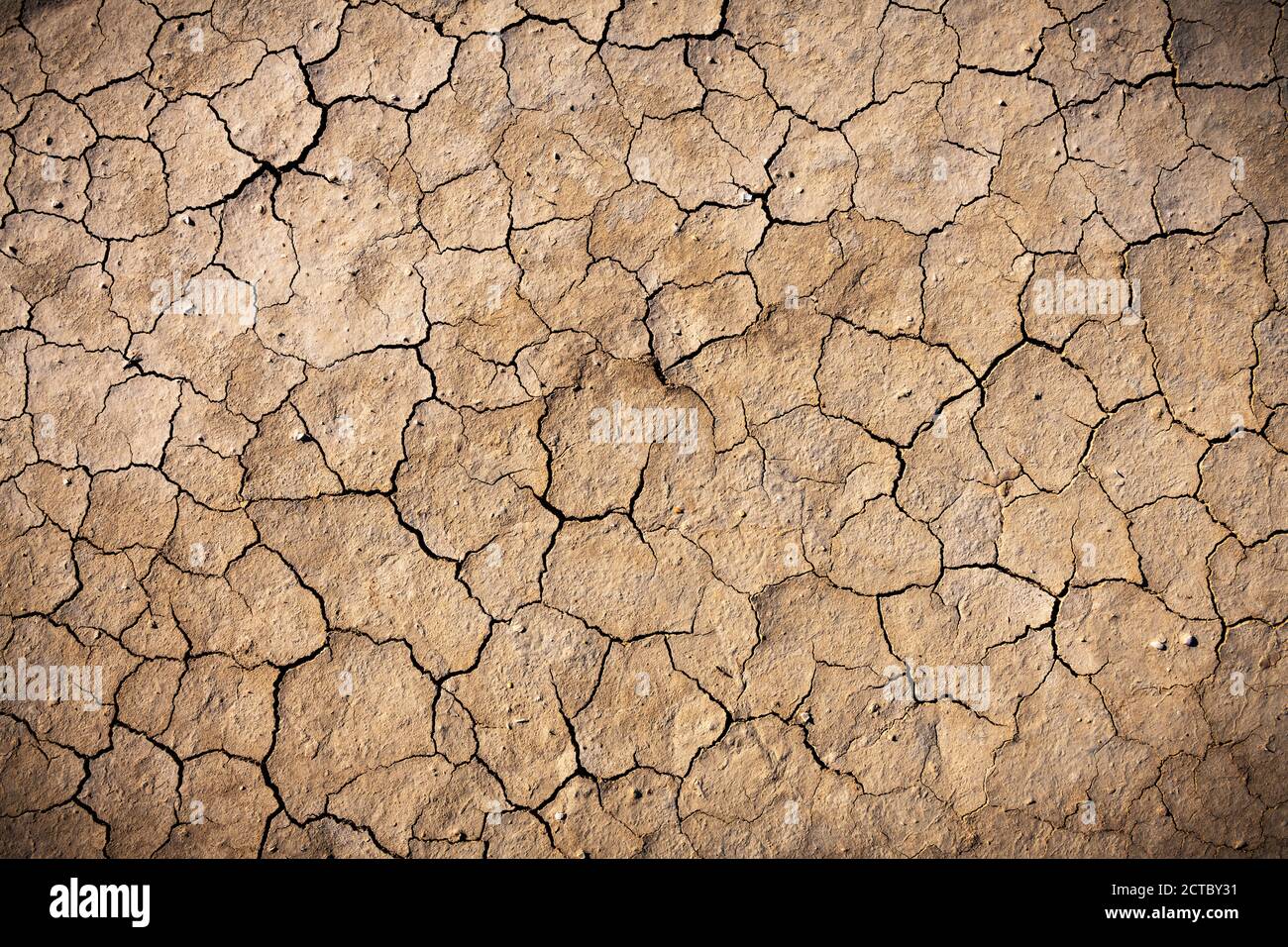Cracked land texture. Beautiful background for your project Stock Photo ...