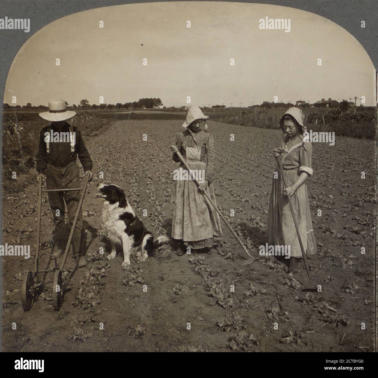 Hoe company hi-res stock photography and images - Alamy